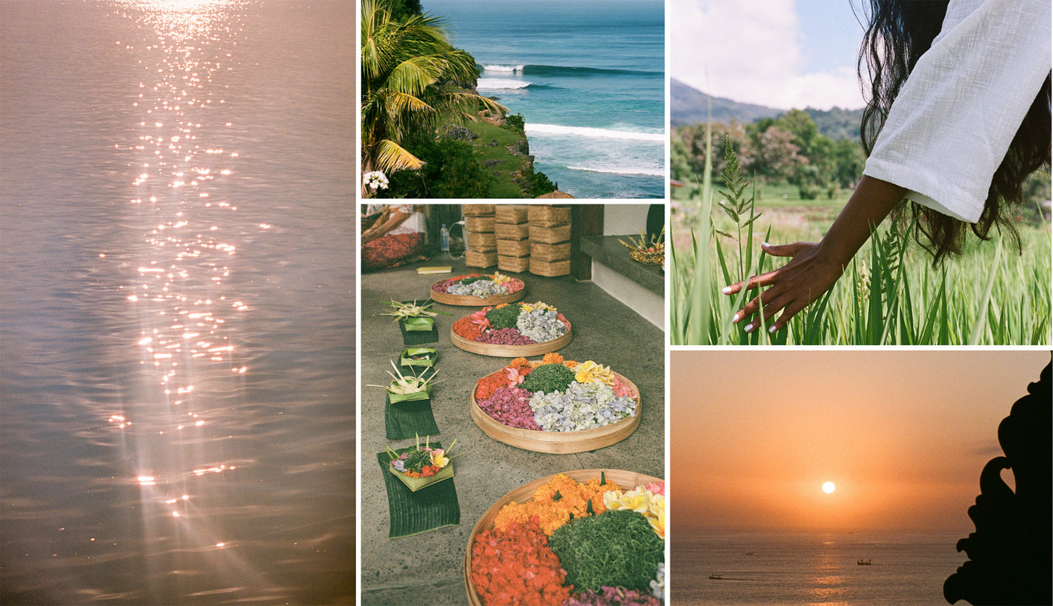 Who We Are | Embracing the Art of Conscious Creation