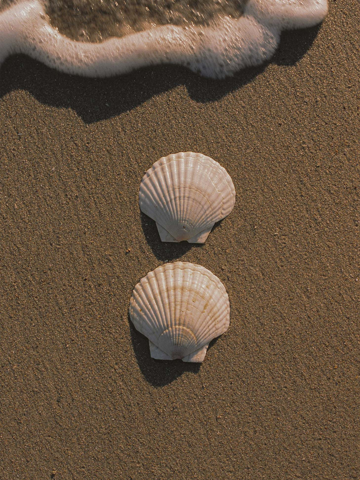 IL Muses: Conversation with Jess Lee Buchanan –Indigo Luna Store