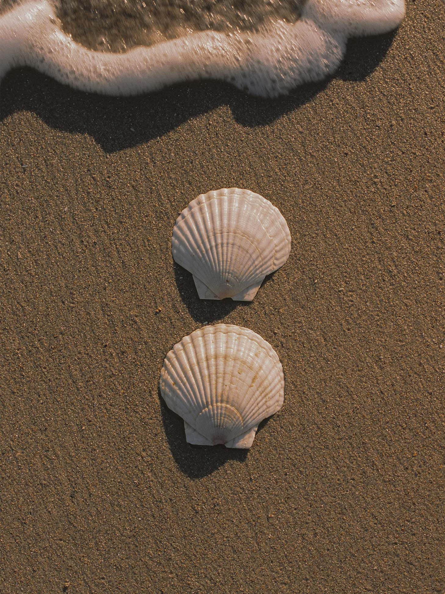 IL Muses: Conversation with Jess Lee Buchanan –Indigo Luna Store