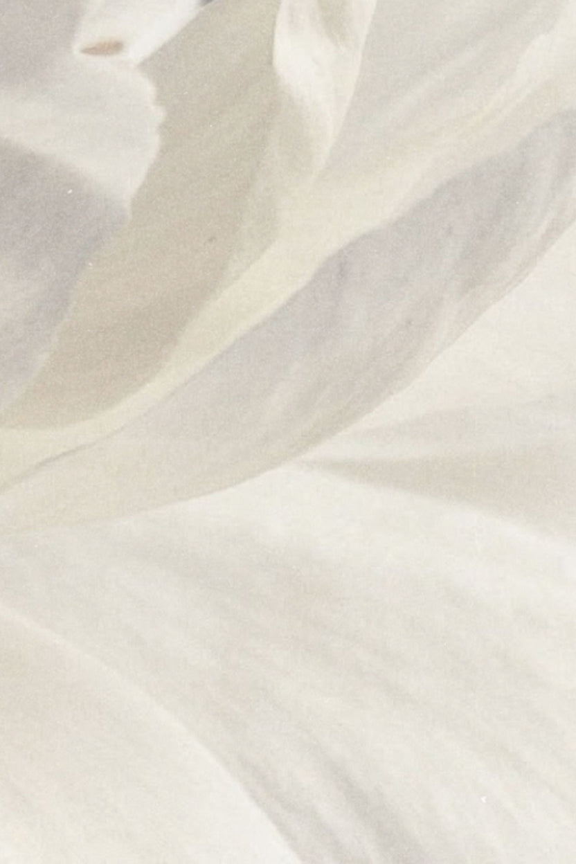 Shop By Colour: White –Indigo Luna Store